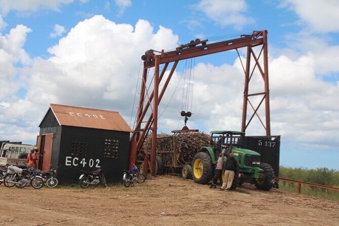 Buggy Sunset - Full day tour with diner on the river- small group - What Travelers Say: Authenticity and Scenic Views