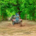 Buggy Tour in Punta Cana: Adventure and Culture - How It Compares in Terms of Value