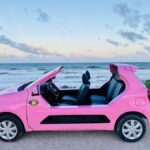 Buggy Tour of Cozumel Island - Chankanaab - Itinerary Breakdown