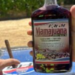 Buggy Tour with Organic Farm, Macao Beach Visit from Punta Cana - Transportation, Duration, and Practicalities