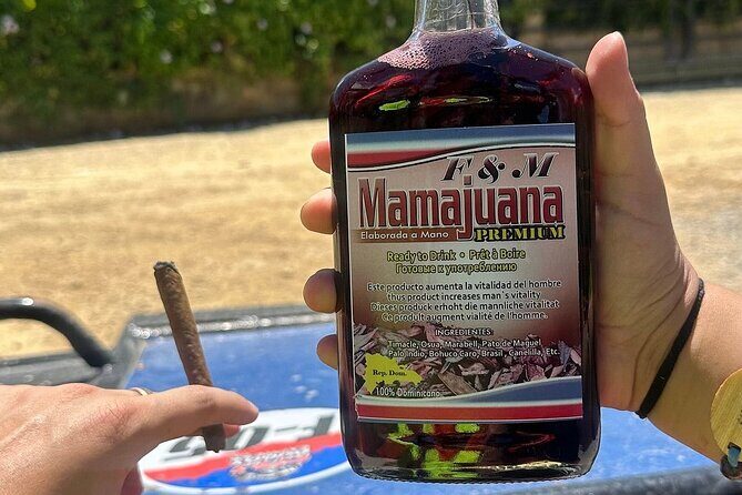 Buggy Tour with Organic Farm, Macao Beach Visit from Punta Cana - Transportation, Duration, and Practicalities