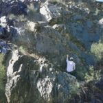 Bukhara: Sarmish-Soy Gorge Petroglyphs Day Trip - The Caravanserai Stop: A Glimpse of Silk Road Life