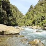 Bukit Lawang: Half Day Ethical Jungle And Eco Friendly Trek - The Experience Provider: PT SUMATRA ORANGUTAN TREKS