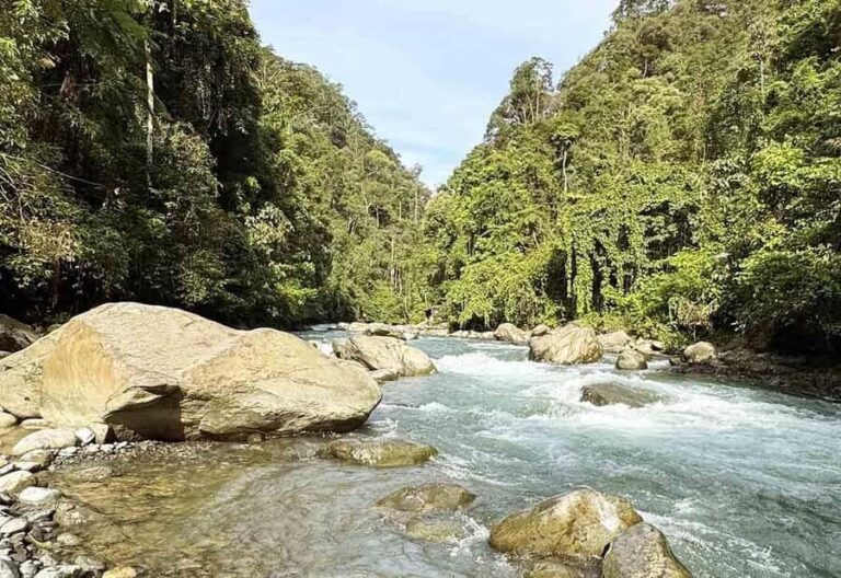 Bukit Lawang: Half Day Ethical Jungle And Eco Friendly Trek - The Experience Provider: PT SUMATRA ORANGUTAN TREKS