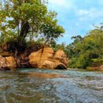 Bukit Lawang: Jungle Cooking Adventure with Local Guide - Why Choose This Tour?