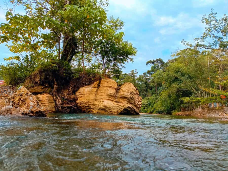 Bukit Lawang: Jungle Cooking Adventure with Local Guide - Why Choose This Tour?