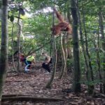 Bukit Lawang: Orangutan Tour & Wonderful Jungle View - The Practicalities: What You Should Know