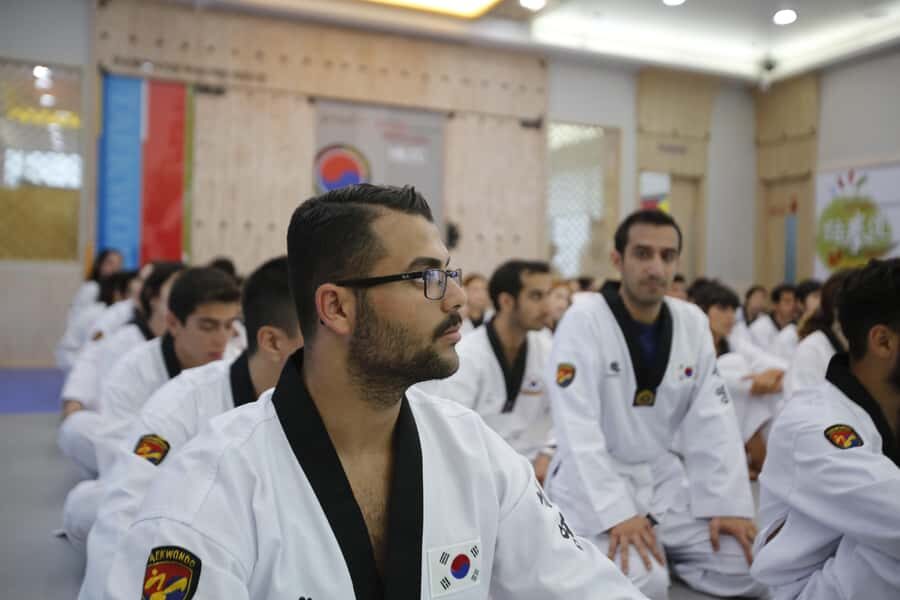 Busan: 1 Hour Taekwondo Experience with Master - The Experience in Context