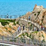Busan: 7 Highlights Gyeongju City One Day Tour - Detailed Breakdown of the Itinerary