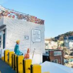 Busan Day & Night: Sky Capsule, Coastal Views & City Lights - The Sky Capsule Experience and Other Highlights