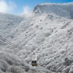 Busan Discovery Tour with Snow and UNESCO Spot - How the Tour Works: Logistics and Value