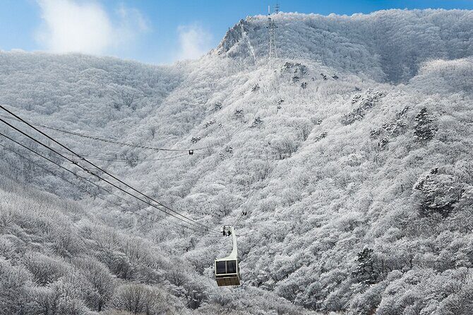 Busan Discovery Tour with Snow and UNESCO Spot - How the Tour Works: Logistics and Value