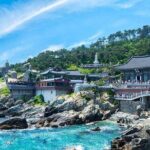 Busan Hidden Gems Beaches and Local Food Private Tour - What the Tour Includes and What to Keep in Mind