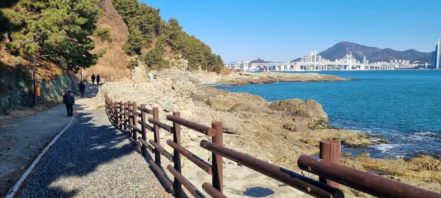 Busan Igidae Coastal Walk & Korean Pancake Experience - Who Will Enjoy This Tour?