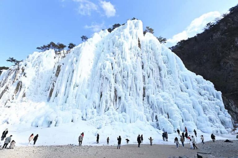 Busan: Kookmin Healing Park & Cheongsong Private Taxi Tour - Who Should Consider This Tour?