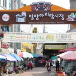Busan: Miryang Day Tour with Apple Makgeolli Experience - Lunch at Arirang Market: Tasting Local Life
