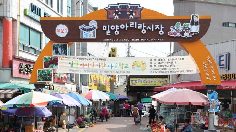 Busan: Miryang Day Tour with Apple Makgeolli Experience - Lunch at Arirang Market: Tasting Local Life