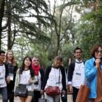 Busan Premium Full-Day Tour - What’s Included and What’s Not