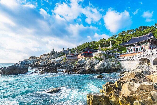 Busan Private Customizable City Tour with Licensed Local Guide - Who Is This Tour Best For?