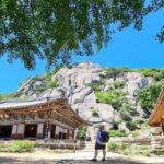 Busan Private Hiking Tour : Panoramic Views Awaits - Authentic Experiences and Real Feedback