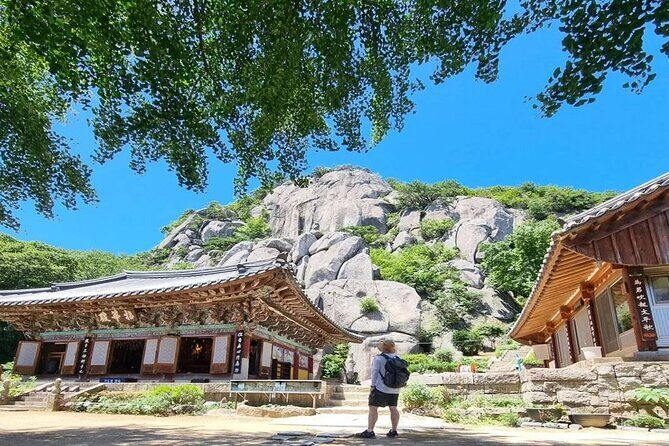 Busan Private Hiking Tour : Panoramic Views Awaits - Authentic Experiences and Real Feedback
