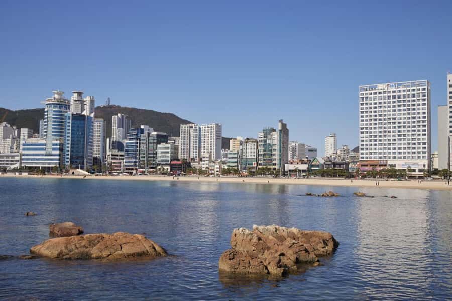 Busan: Private Taxi Tour - Port Cruise Shore Excursion - How the Itinerary Works