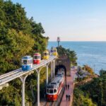 Busan: Small Group with Hotel Pickup Sky Capsule Local Guide - The Experience: What Travelers Say