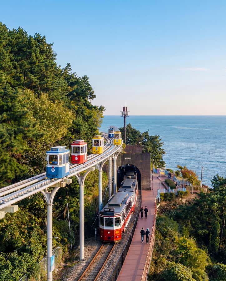 Busan: Small Group with Hotel Pickup Sky Capsule Local Guide - The Experience: What Travelers Say