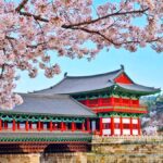 Busan: Spring Cherry Blossom & Gyeongju Highlights Day Tour - Who Should Consider This Tour?