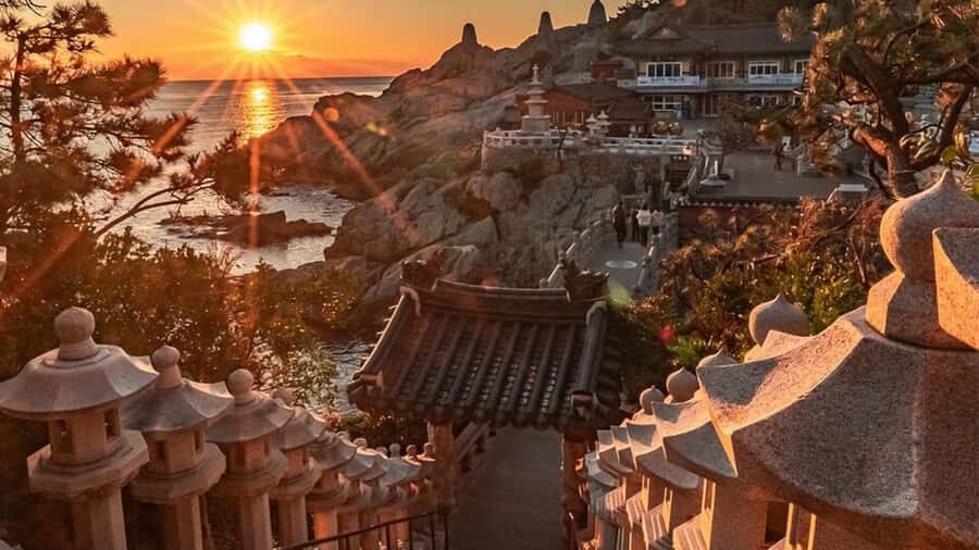 Busan: Well-Rounded Small-Group Busan Tour with Hotel Pickup - What To Expect Throughout the Day