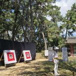 Busan:Traditional Culture Experience Tour with Lunch - What Makes This Tour Special