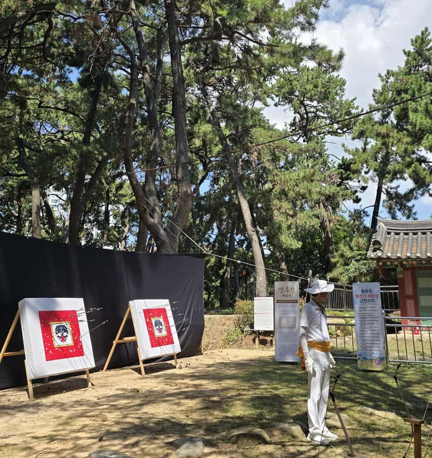 Busan:Traditional Culture Experience Tour with Lunch - What Makes This Tour Special