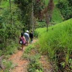 Bush Hiking to explore Wild Plants & Fresh Fruits,Montego Bay - The Sum Up: Who Should Book This Tour?