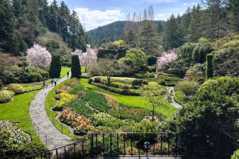 Butchart Gardens Spring & Summer Bloom Highlights (4hr tour) - Why This Tour Offers Great Value