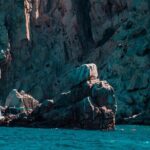 Cabo San Lucas Arch Private Boat Tour - Practicalities and What You Need to Know