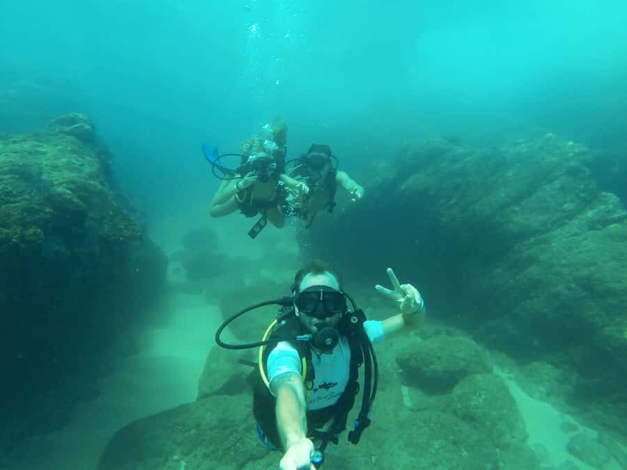 Cabo San Lucas: Scuba Diving in Cabo San Lucas Marine Park - What to Expect from Your Cabo San Lucas Marine Park Dive