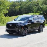 Cadillac Escalade SUV Luxury Private Transportation - Who Is This Tour Best For?