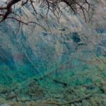 Calgary/Canmore/Banff Grassi Lake and Grotto Canyon Hiking Tour - The Value of the Experience