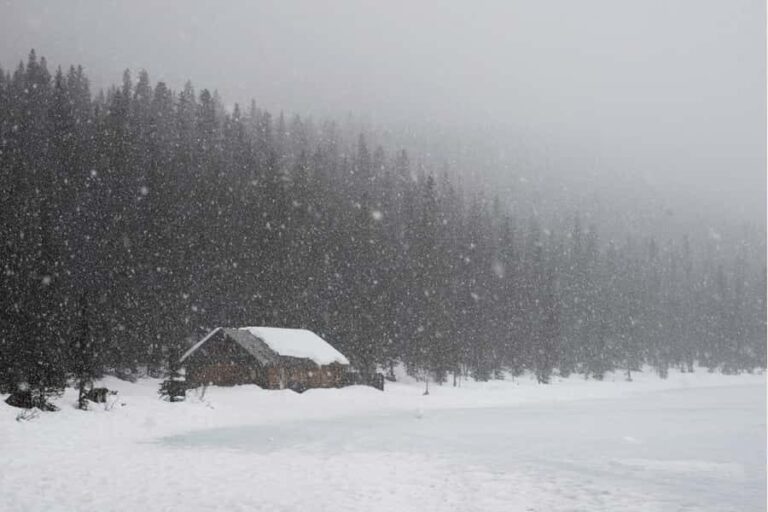 Calgary: Marble Canyon Icefalls & Lake Louise Guided Tour - The Whole Day in Perspective