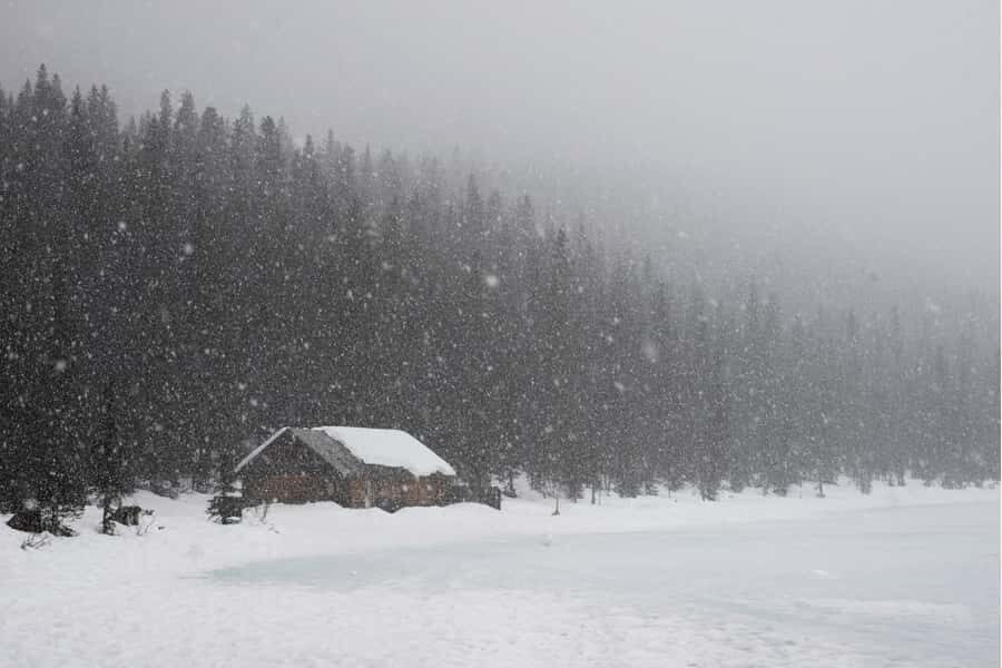 Calgary: Marble Canyon Icefalls & Lake Louise Guided Tour - The Whole Day in Perspective