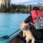 Calgary Shuttle: Lake Louise, Banff & Johnston Canyon Tour - Practical Considerations