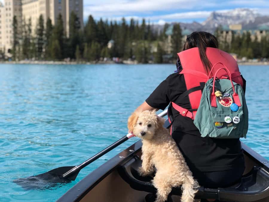 Calgary Shuttle: Lake Louise, Banff & Johnston Canyon Tour - Practical Considerations