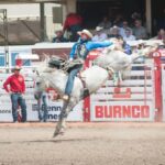Calgary Stampede Afternoon Rodeo - Who Will Love This Experience?