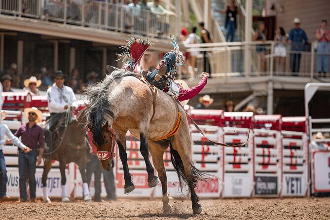 Calgary Stampede Afternoon Rodeo - The Sum Up