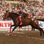 Calgary Stampede Evening Show - Who Should Consider This Experience?