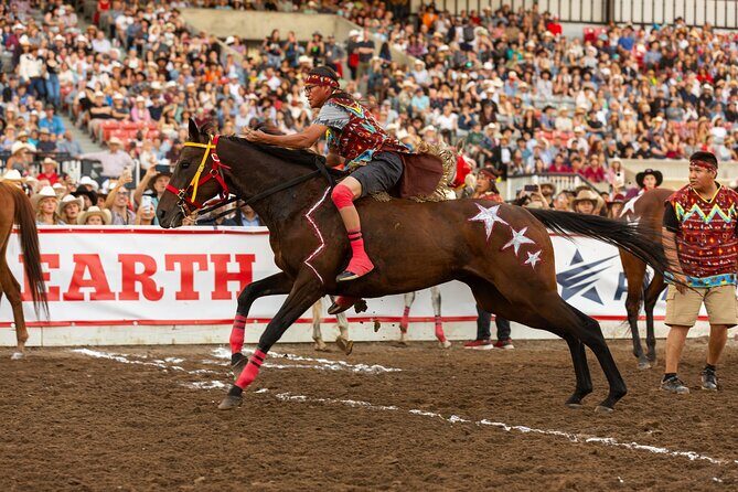 Calgary Stampede Evening Show - Who Should Consider This Experience?