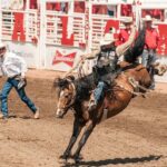 Calgary Stampede Two Day Thrill Package - Final Thoughts