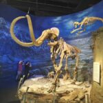 Calgary: To Drumheller (tiny town of huge monsters) Day Tour - Exploring Alberta’s Badlands: An In-Depth Look