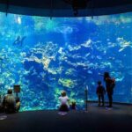 California Academy of Sciences Ticket in San Francisco - The Practicalities: Timing, Access, and Tips