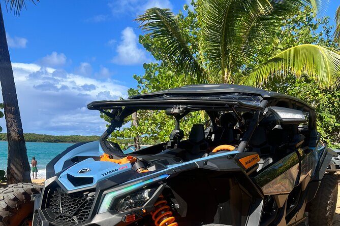 Cam Am Tour - Street Food & Beaches! - Who Is This Tour Best For?